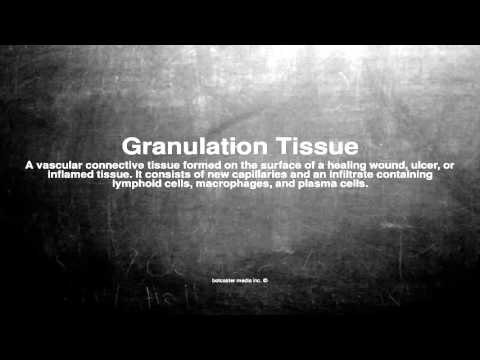 Medical vocabulary: What does Granulation Tissue mean