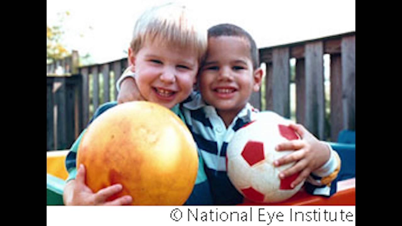 Project 91: Context-Aware Image Compression for Artificial Retinas