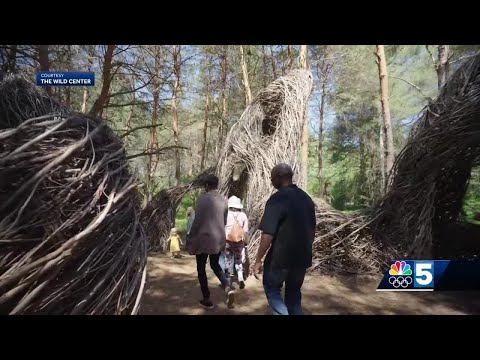 'Totality in Tupper' offers family activities, free programming for total eclipse