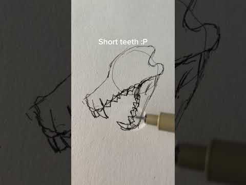 How I make skull dogs! #skulldog #drawing #antizoo #drawing #artist #art #sketch #tutorial