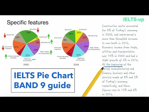 How to attempt Pie Chart question Video Lecture - Speaking and Writing ...