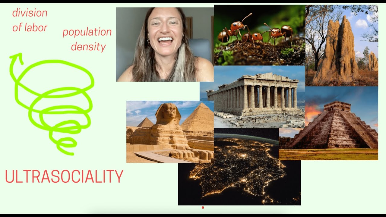 Understanding Human Civilization's Ecological Impact: A Post-Doom ...