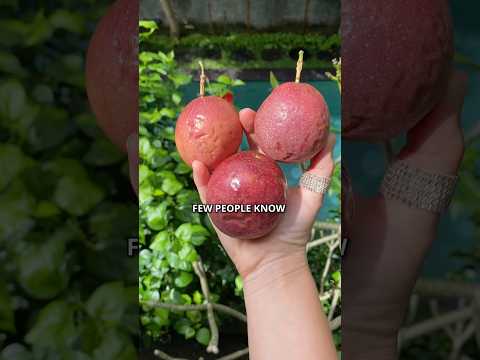 How To Choose The Right Fruit #fruit #tropicalfruit #passionfruit