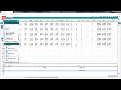 Descriptor Set up | Qualitative and Mixed Methods Data Analysis | Great Research Made Easy