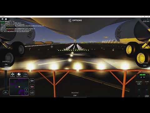EXTREMELY LOW LANDING at Punta Cana Airport (Project Flight)