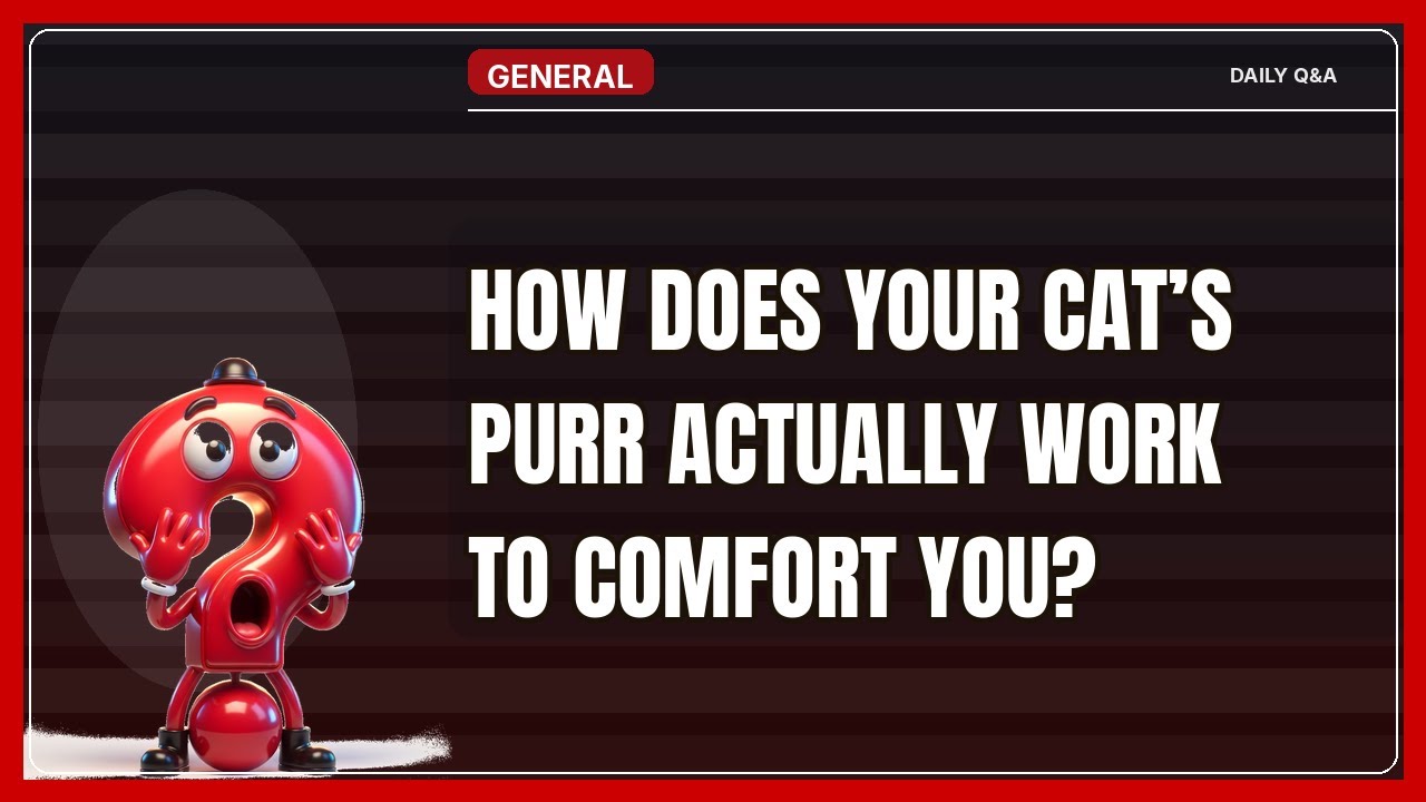 How Does Your Cat’s Purr Actually Comfort You?