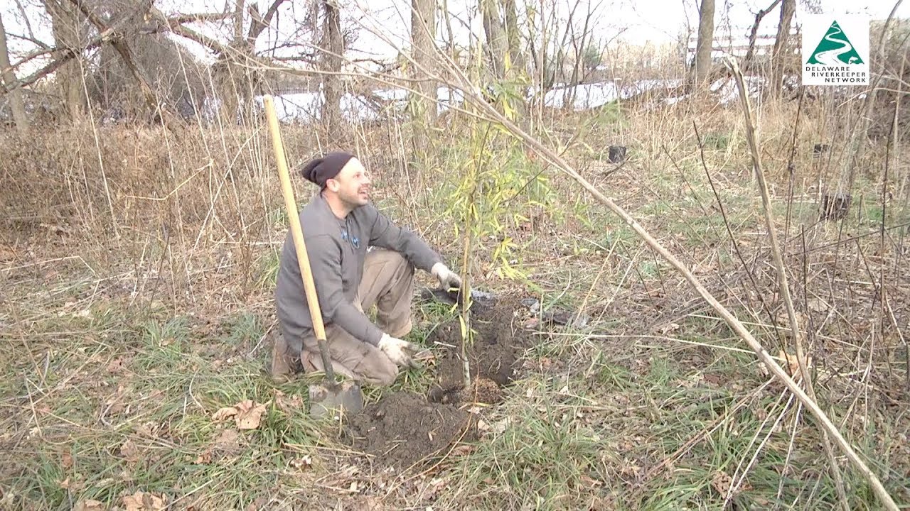 Delaware Riverkeeper Network video Morrisville Preserve tree planting