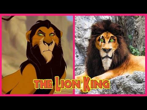 The Lion King In Real Life π@WANAPlus