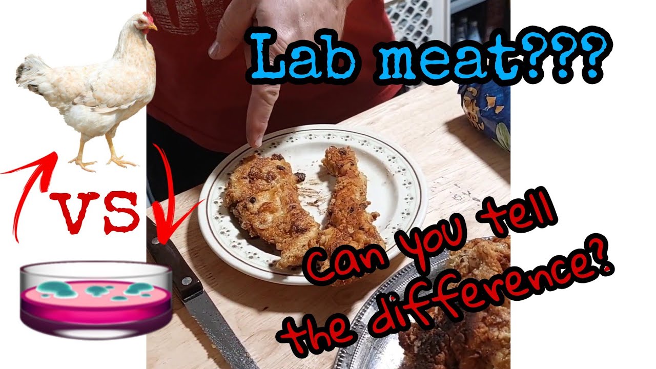Chicken Lab Meat?? How you can tell the difference! *taste test included!