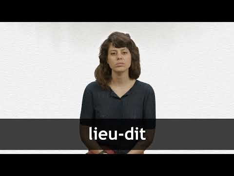 English Translation of “LIEU-DIT” | Collins French-English Dictionary