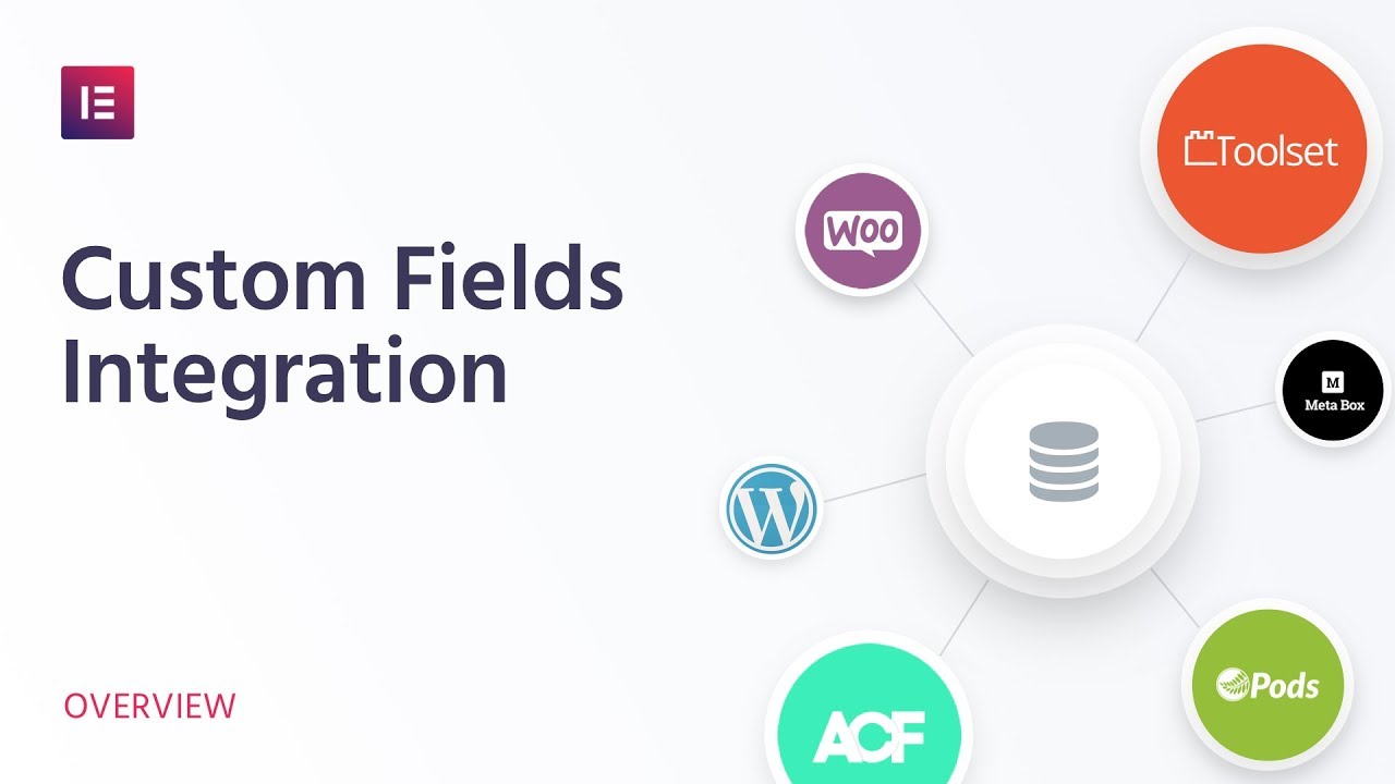Introducing Custom Fields Integration: Build More Advanced Sites Without Coding