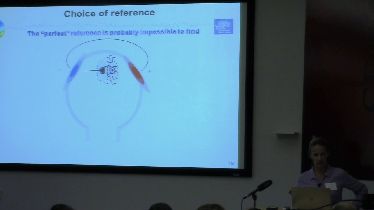 Data Import/Preprocessing and Basic Plotting by Julie Onton