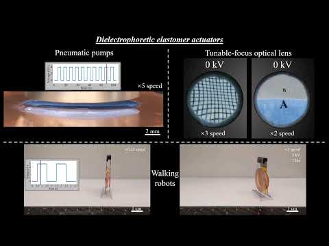 New Advanced Functional Materials paper | Faul Research Group
