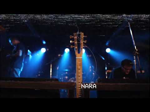 The Grasshopper Lies Heavy - The Act of Buying Groceries (Music Video)
