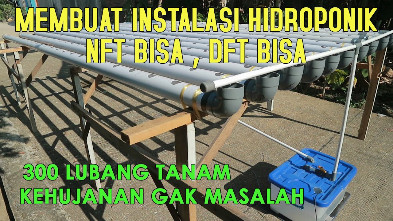 Membuat instalasi hidroponik 300 lubang NFT bisa DFT bisa menggunakan pipa pvc 2.5 inch
