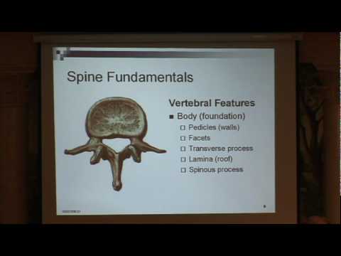 Lumbar Spinal Stenosis Part 1- Spine Fundamentals Paul Houle, MD