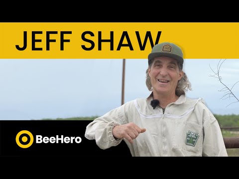 BeeHero - Israeli Startup | Startup Nation Finder