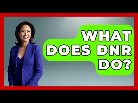 What Does DNR Do? - Making Politics Simple