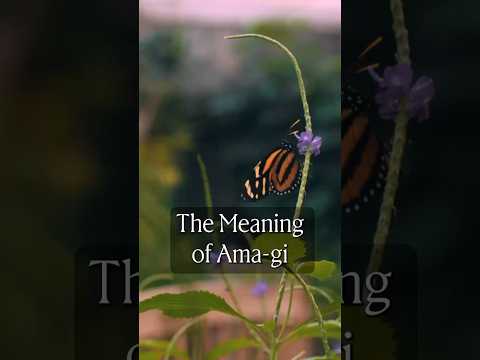 The Meaning of Ama-gi 🦋
