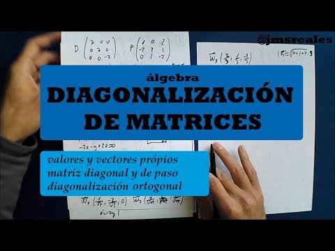 Diagonalización de matrices & forma de Jordan – No todo es matemáticas