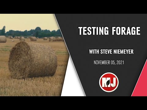 Testing Forage | Steve Niemeyer | November 05, 2021