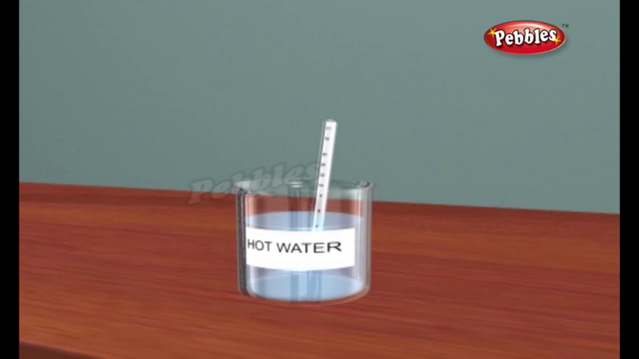 How does a Thermometer Work | How Stuff Works | How Devices Work in 3D | Science For Kids