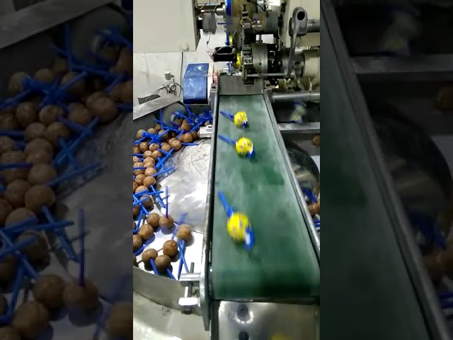 Candy wrapping machine - Double Twist Wrapping Machine Manufacturer ...