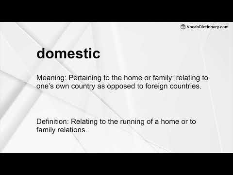 domestic Meaning