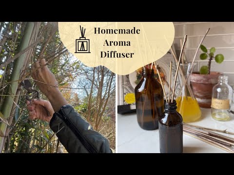 🎍Homemade Essential Oil Diffuser with Foraged Bamboo Sticks 🎋
