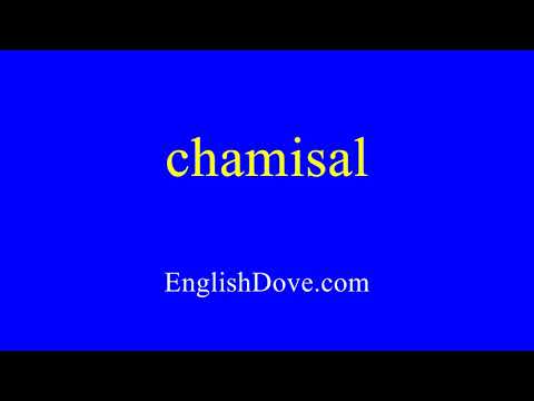 How to pronounce chamisal in American English