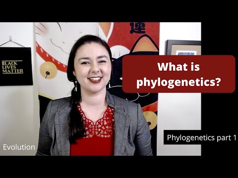 What is phylogenetics?