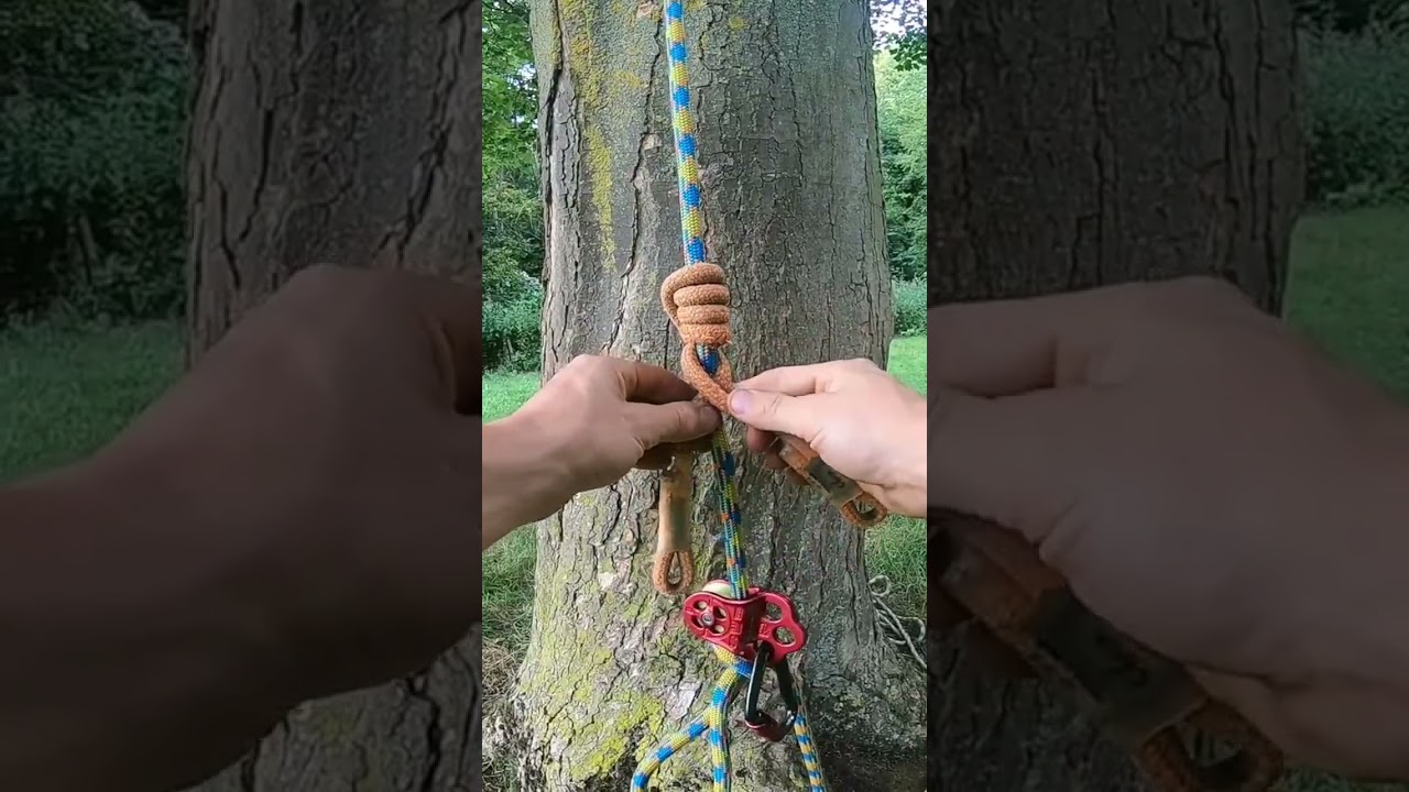 VT friction hitch | Arborist knots
