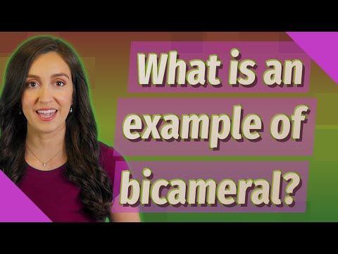 What is an example of bicameral?