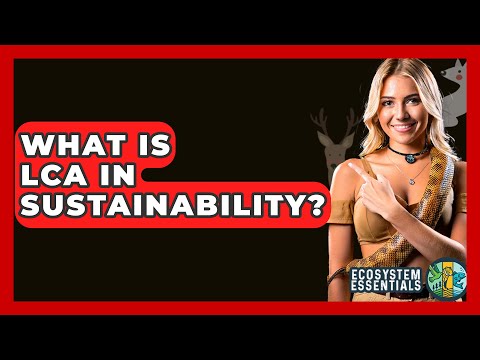 What Is LCA In Sustainability? - Ecosystem Essentials