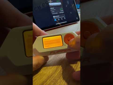 Flipper Zero Formatting the MicroSD Card