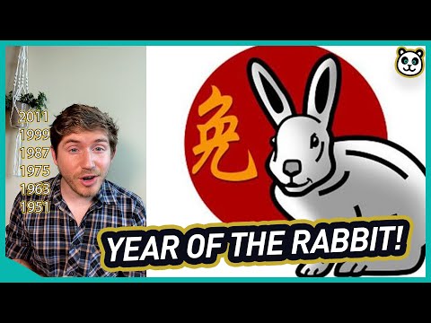 Chinese Zodiac: The Rabbit!