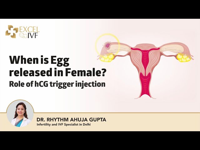 Hair Care Products - EEMA HP 5000 INJ Trader - Wholesaler / Distributor ...