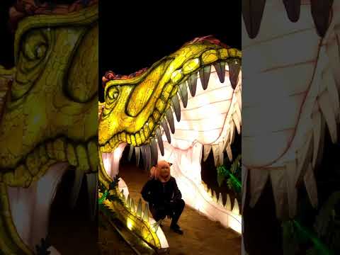 Anya irl Watching LED Peacock - North Carolina Chinese Lantern Festival
