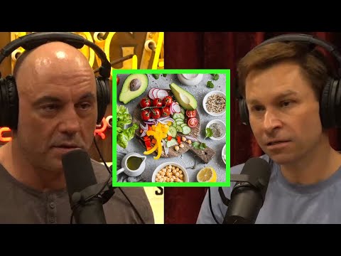 Joe Rogan Interviews Dr. David Sinclair About Fasting and Aging – Irene ...