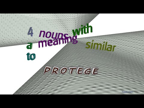 protege - 5 nouns similar to protege (sentence examples)