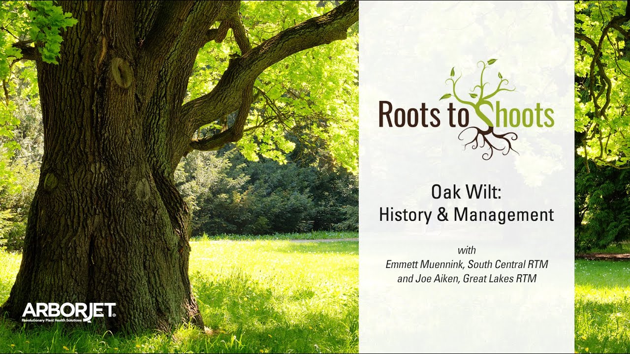 Oak Wilt: History and Management-Arborjet Webinar