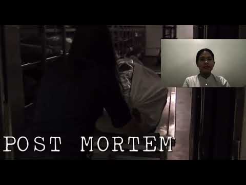 Post Mortem Care Demo