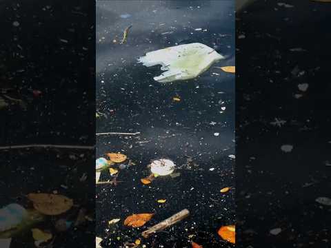 #Explained: Draft Liquid Waste Management Rules 2024