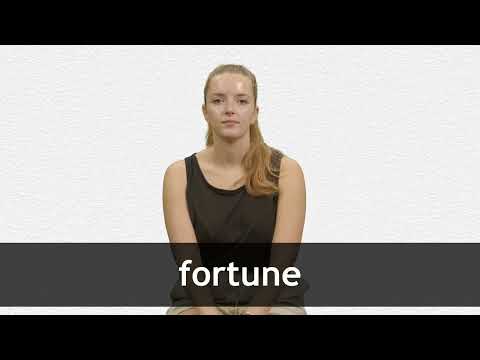 English Translation of “FORTUNE” | Collins French-English Dictionary