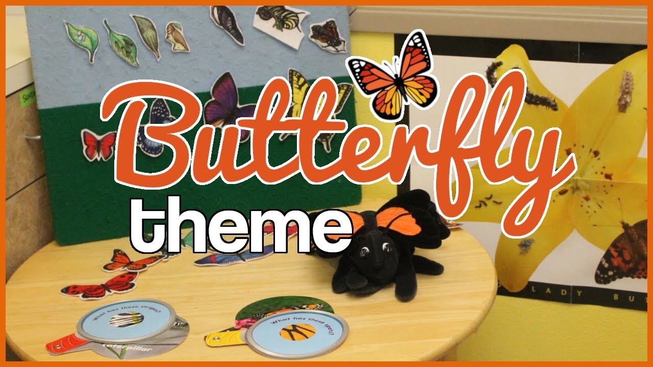 Setting up the Classroom with a Butterfly Theme