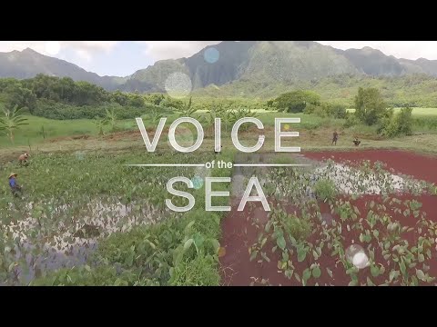 VOS5-13 Full Episode - Water Resources Research