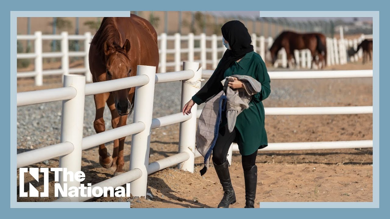 Emirati sisters run a 'paddock paradise' for horses in the desert