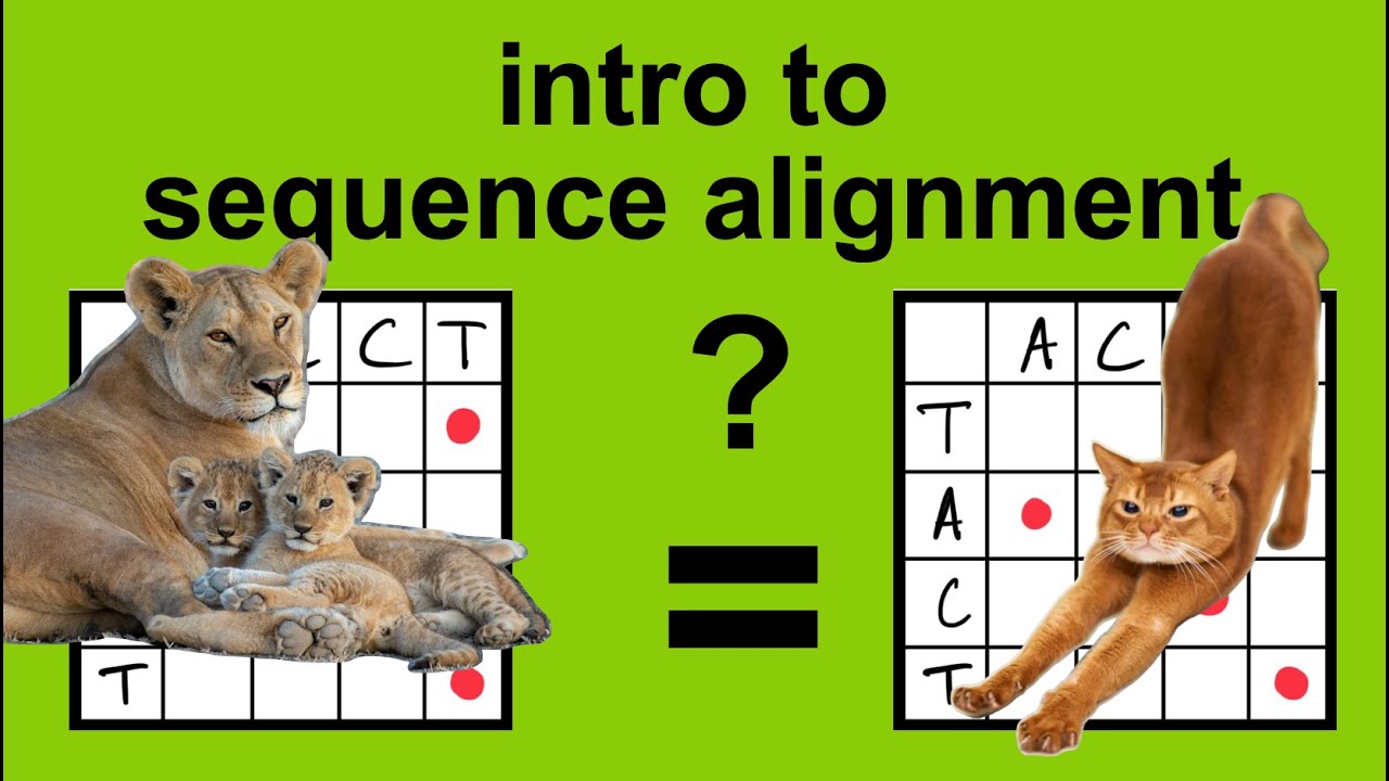 Sequence Alignment 1: The Dot-matrix method