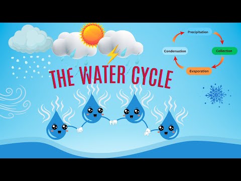 The Water Cycle | Educational Video for Kids | Learn about Earths water cycle #WaterCycle