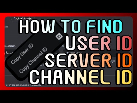 How To Find Your Discord User, Channel, and Server IDs | Discord Swift Tutorials PART 3
